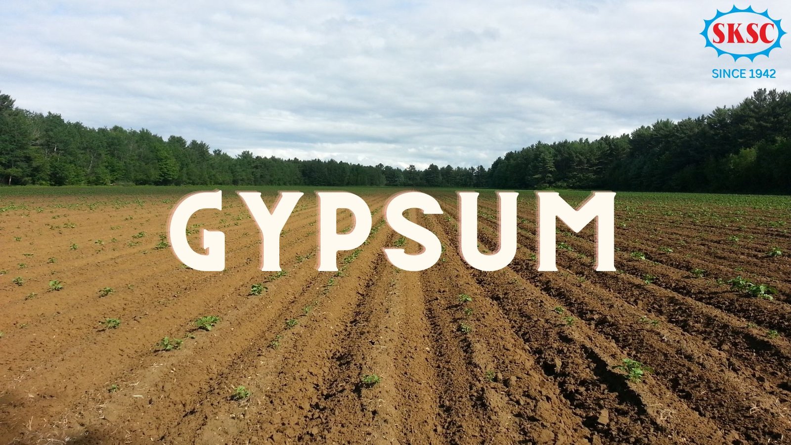 Salt Refinery in Tuticorin | Salt Exporters in Tuticorin | Salt Company ...